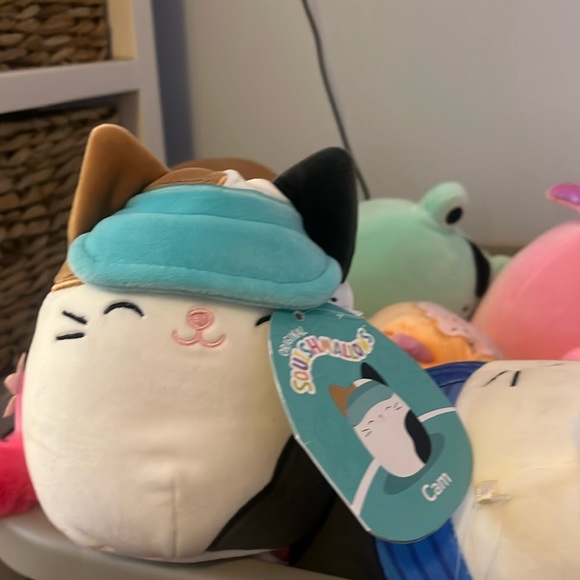 Squishmallows | Toys | Cam The Cat Squishmallow 5 | Poshmark